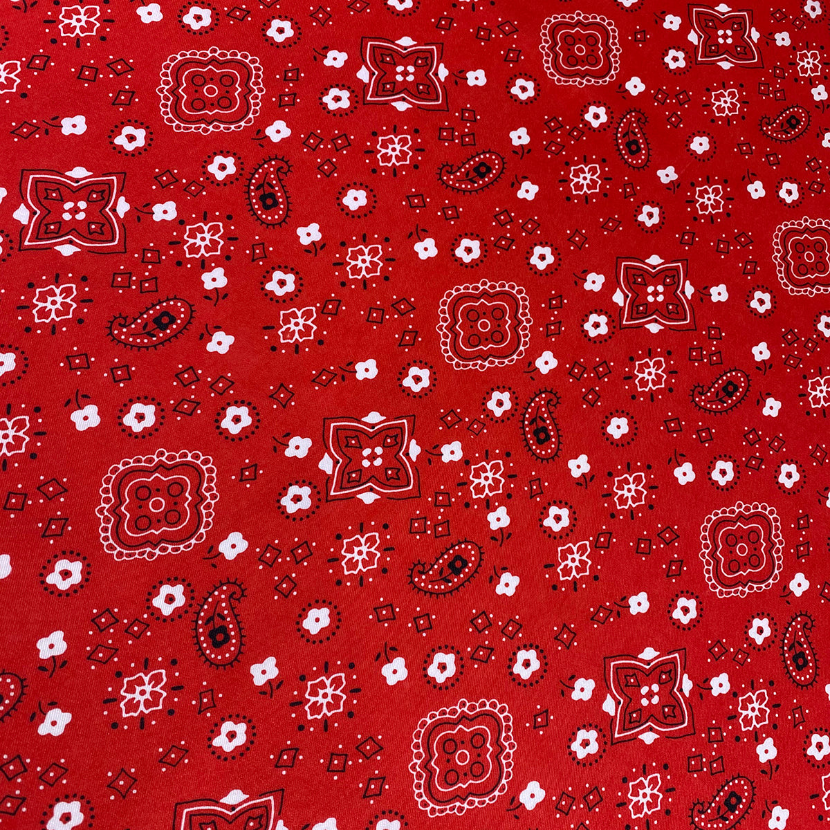 Red Bandana Pattern